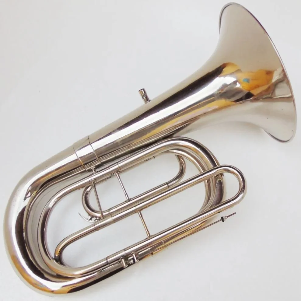 Brazilian Slide Bugles — Tiffany Johns