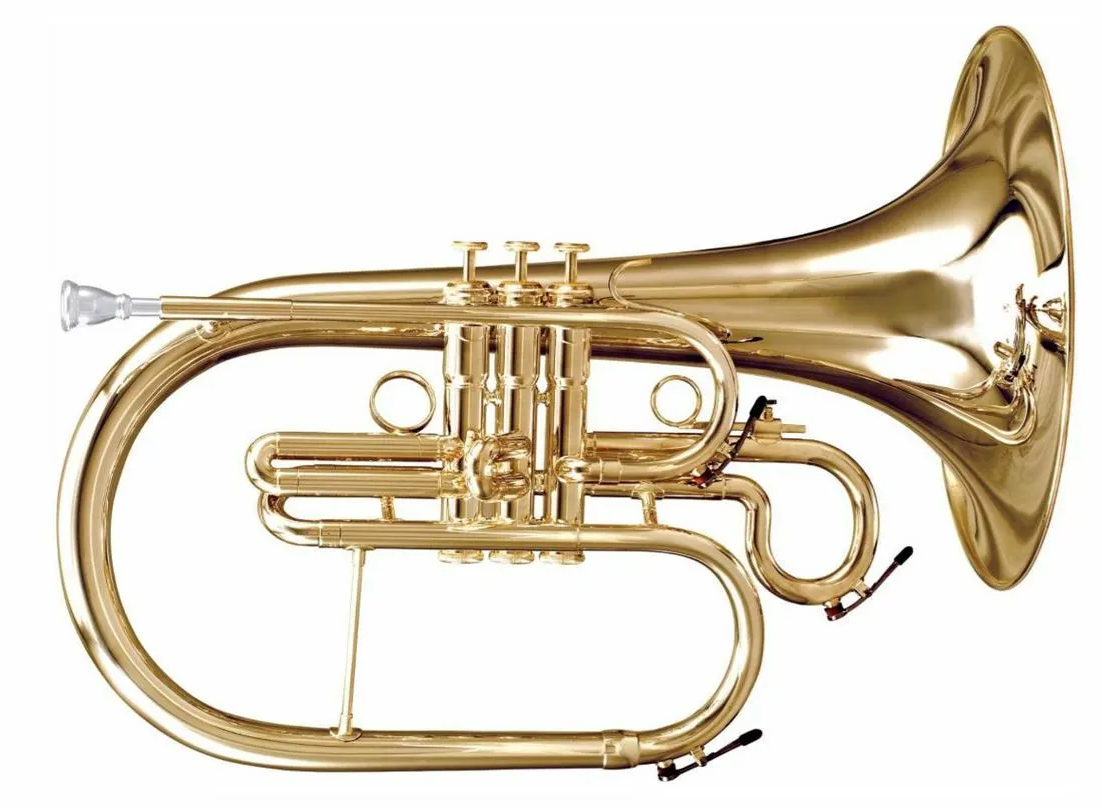 Marching French Horn — Tiffany Johns