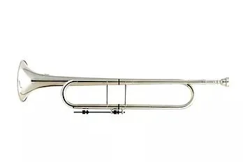 Brazilian Slide Bugles — Tiffany Johns