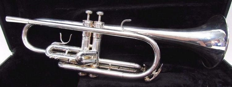 G Bugles — Tiffany Johns