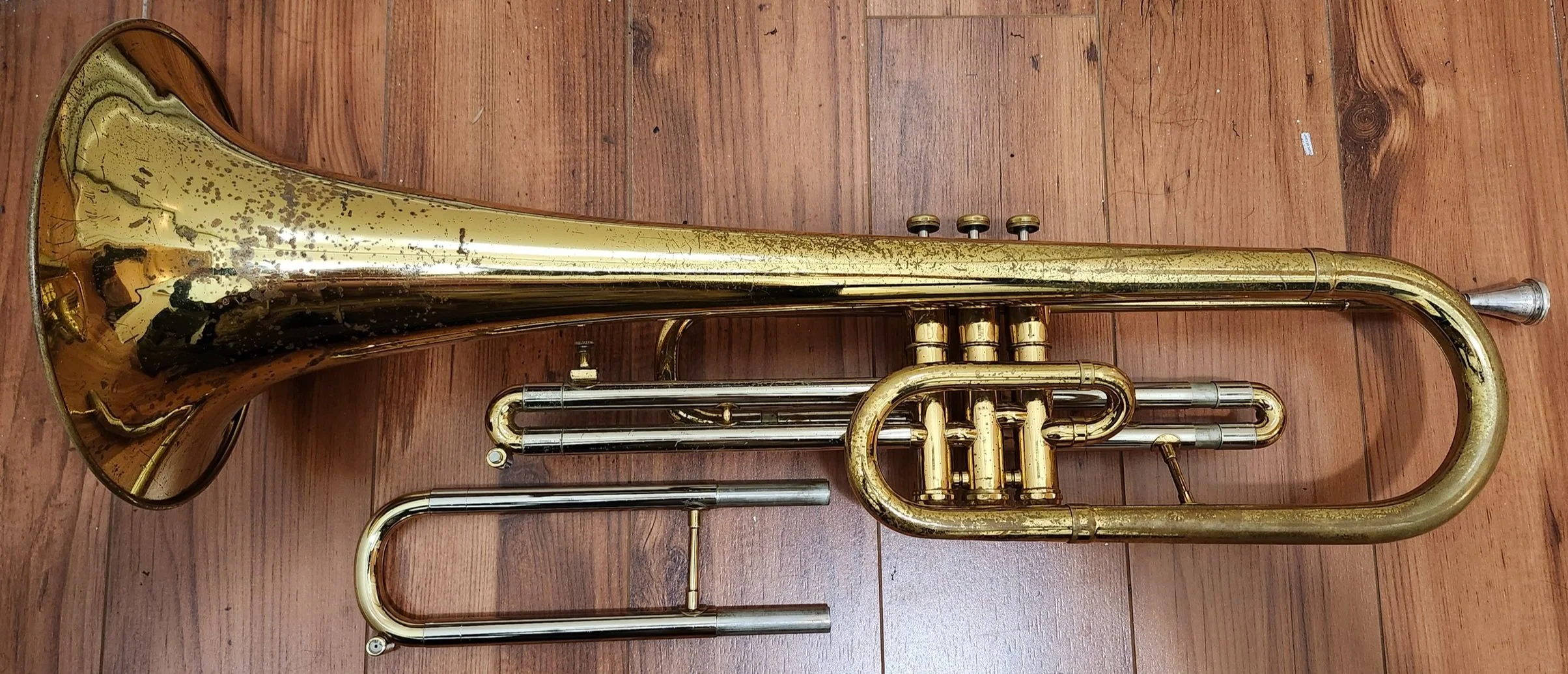 Frumpet — Tiffany Johns