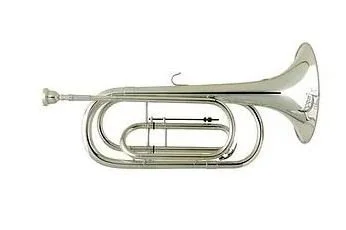 Brazilian Slide Bugles — Tiffany Johns