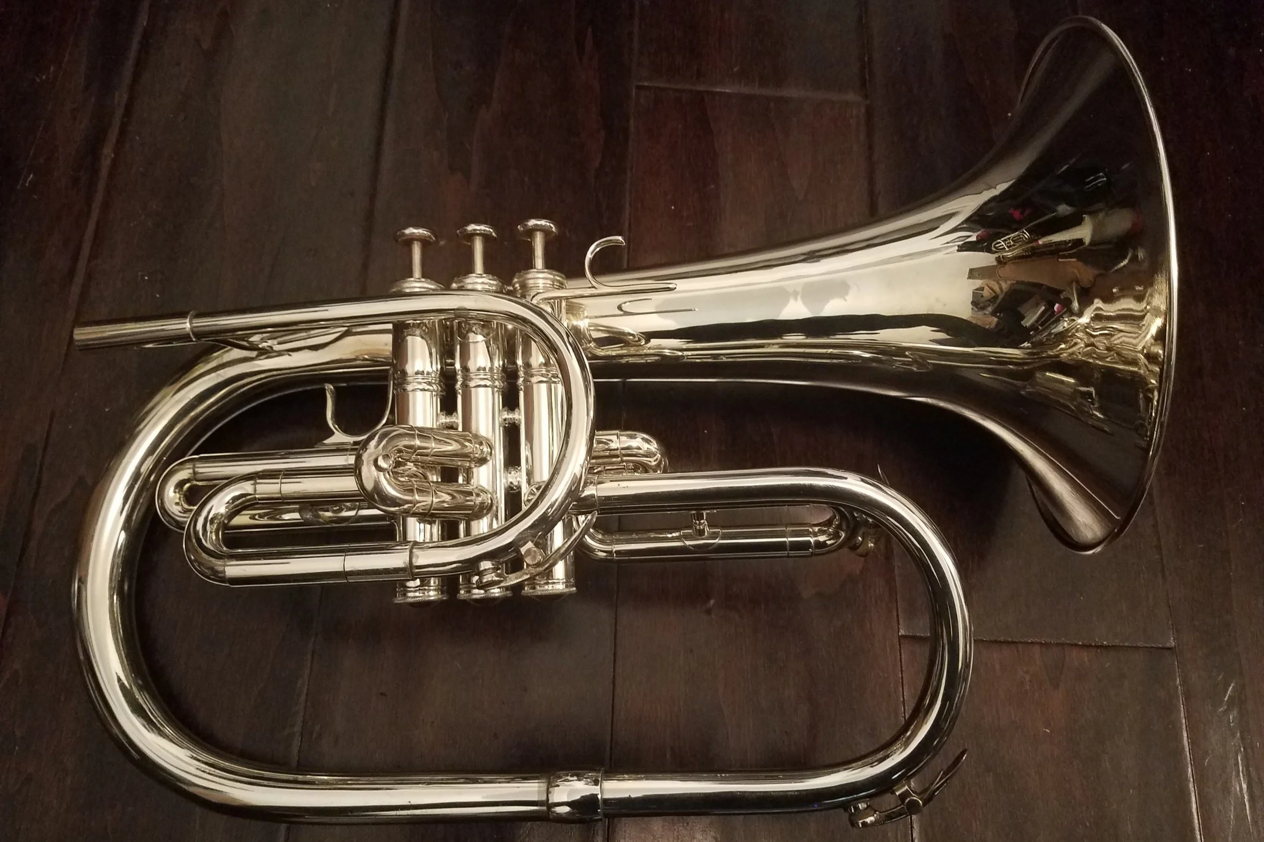 Alto Bugle — Tiffany Johns