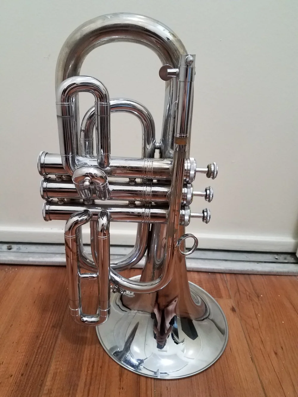 Alto Bugle — Tiffany Johns