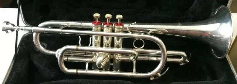 G Bugles — Tiffany Johns