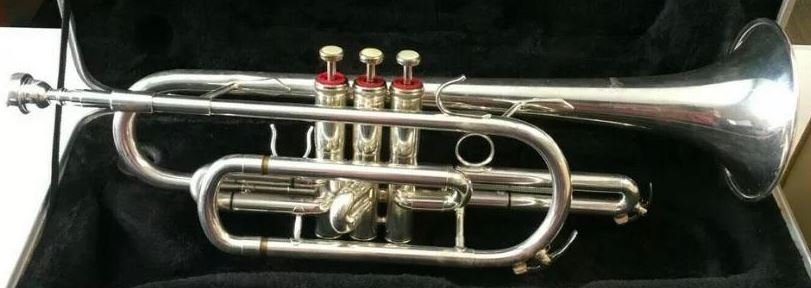 G Bugles — Tiffany Johns
