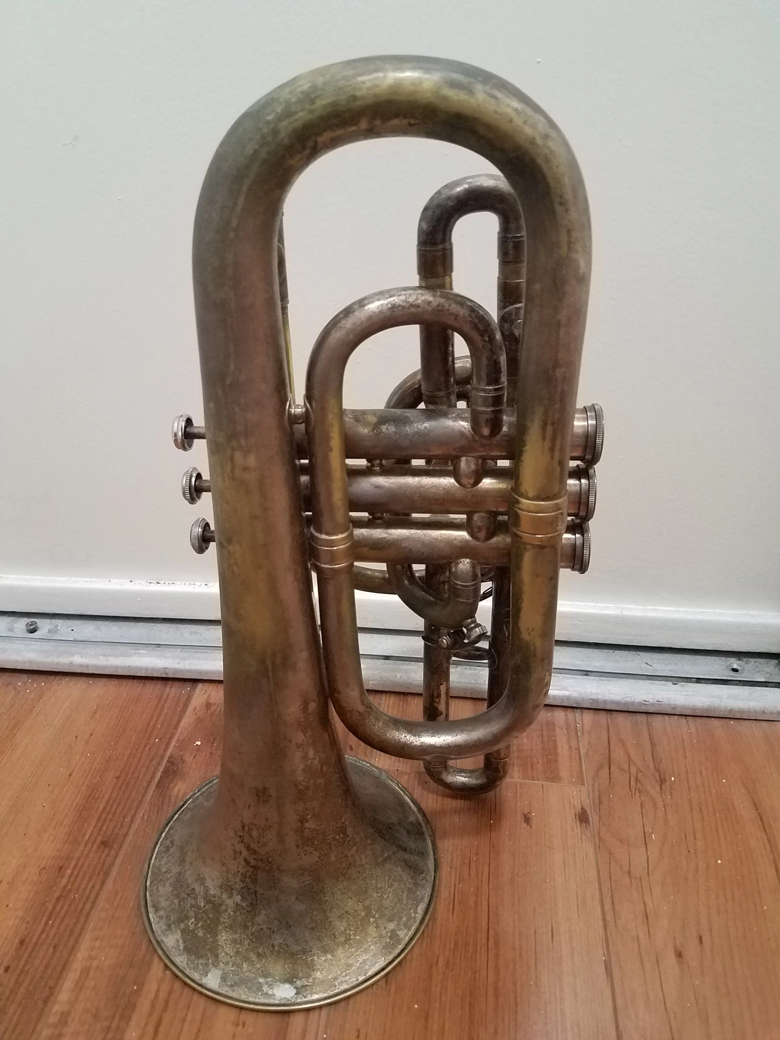 Alto Cornet — Tiffany Johns