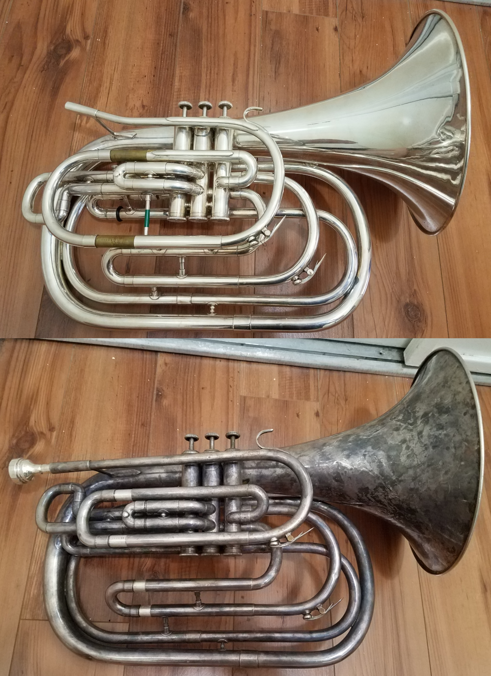 Marching French Horn — Tiffany Johns