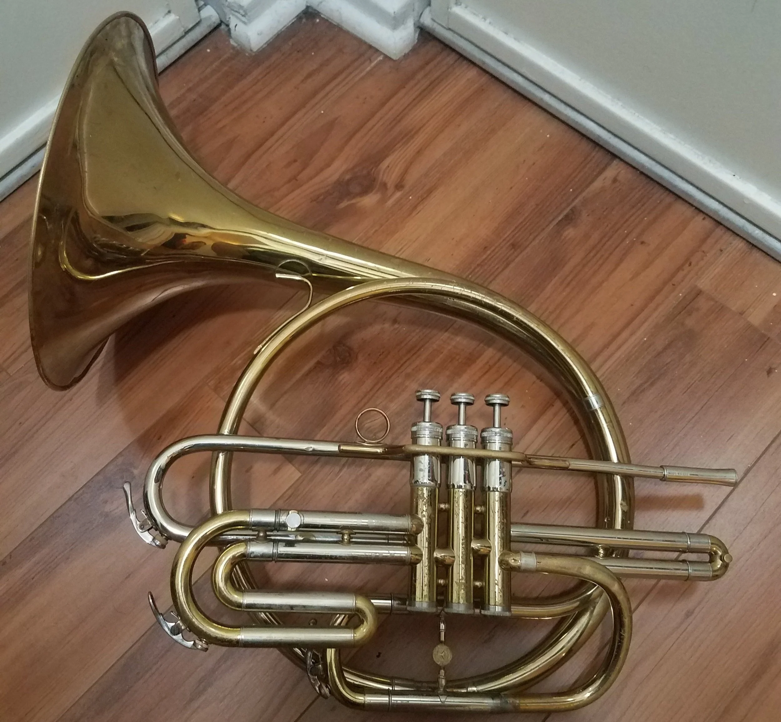 Marching French Horn — Tiffany Johns