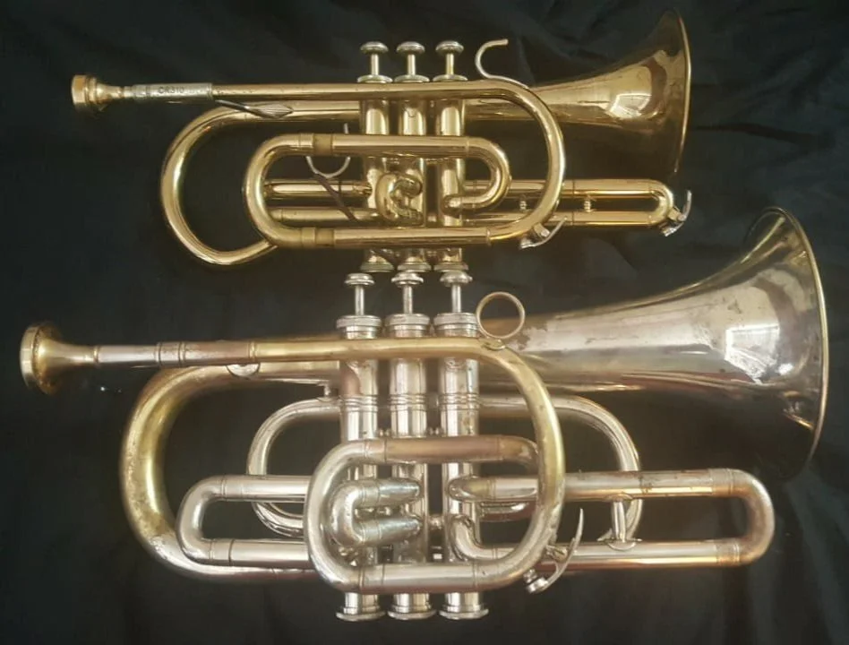 Alto Cornet — Tiffany Johns