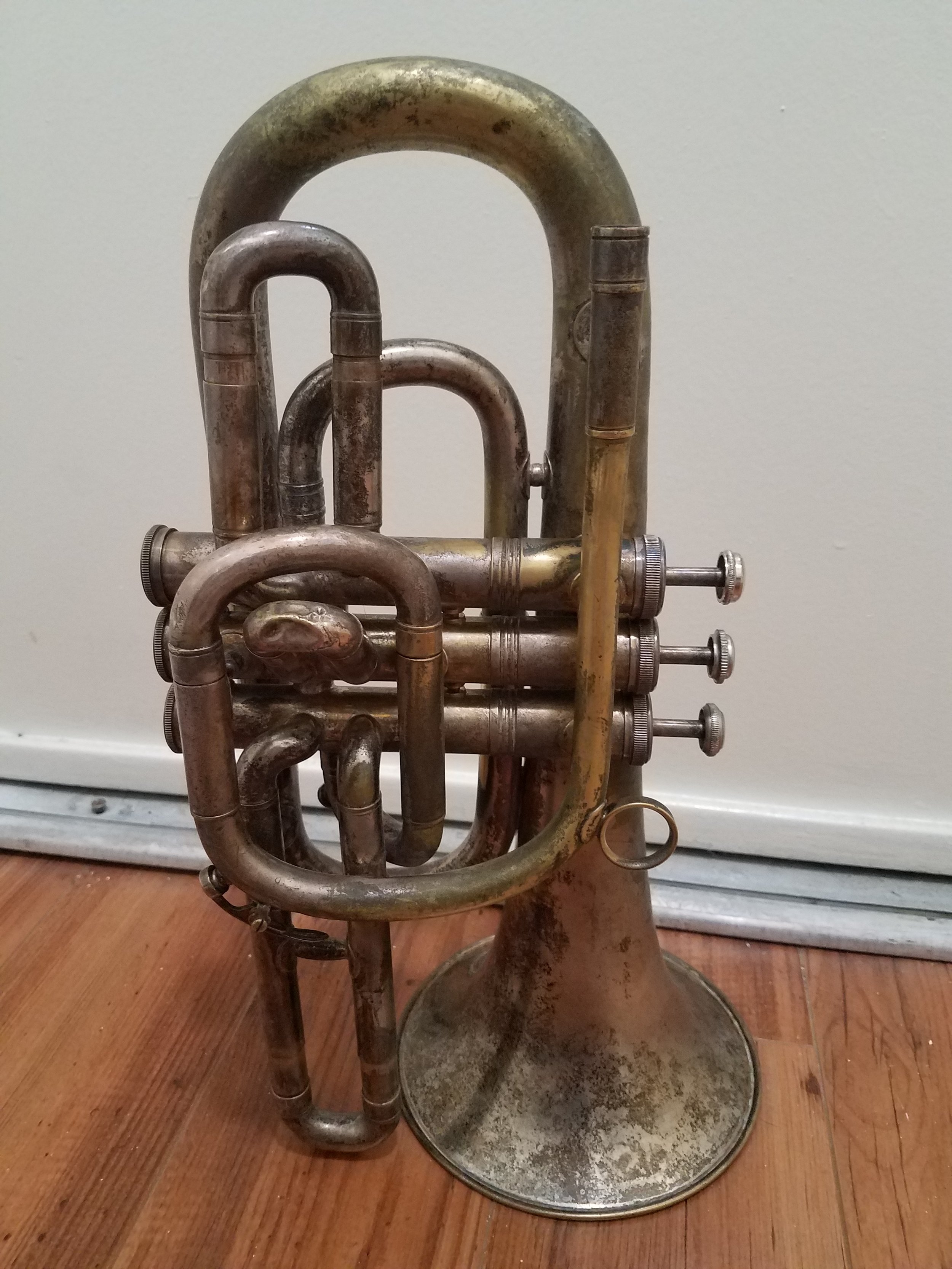 Alto Cornet — Tiffany Johns