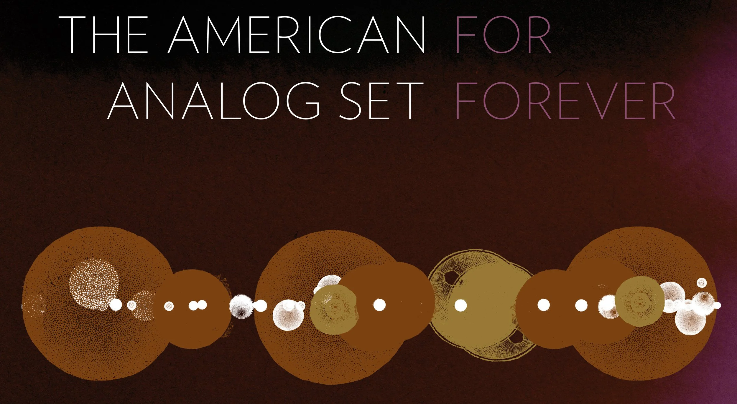 The American Analog Set