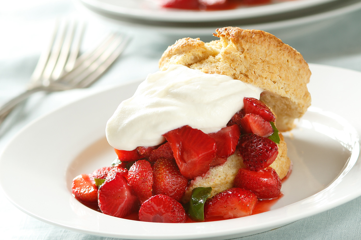 Menus — Portland, OR Restaurant: The Country Cat