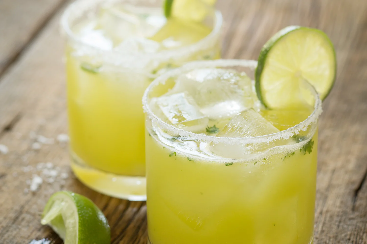 Menus — Portland, OR Restaurant: The Country Cat