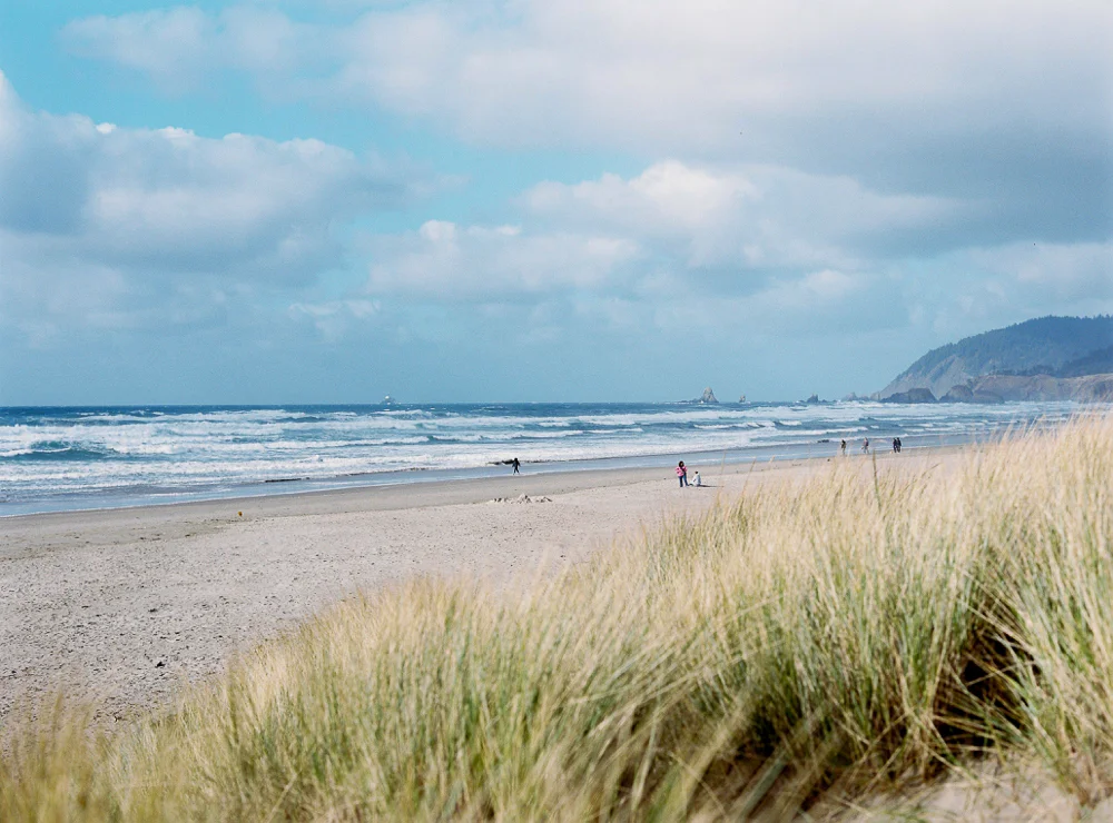 PNW - The great Pacific Northwest on Film — L&V Photography