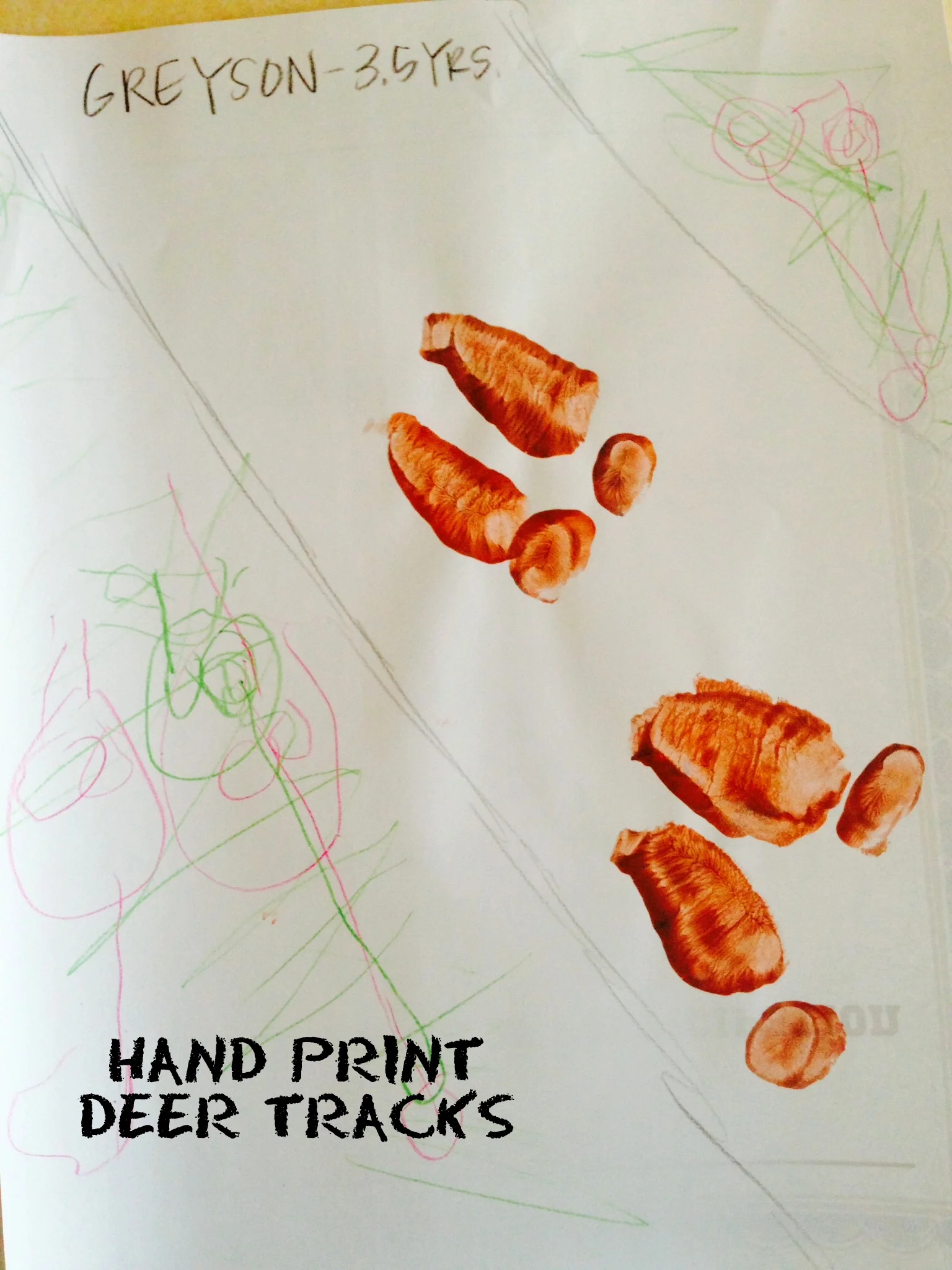 How To Draw Deer Tracks