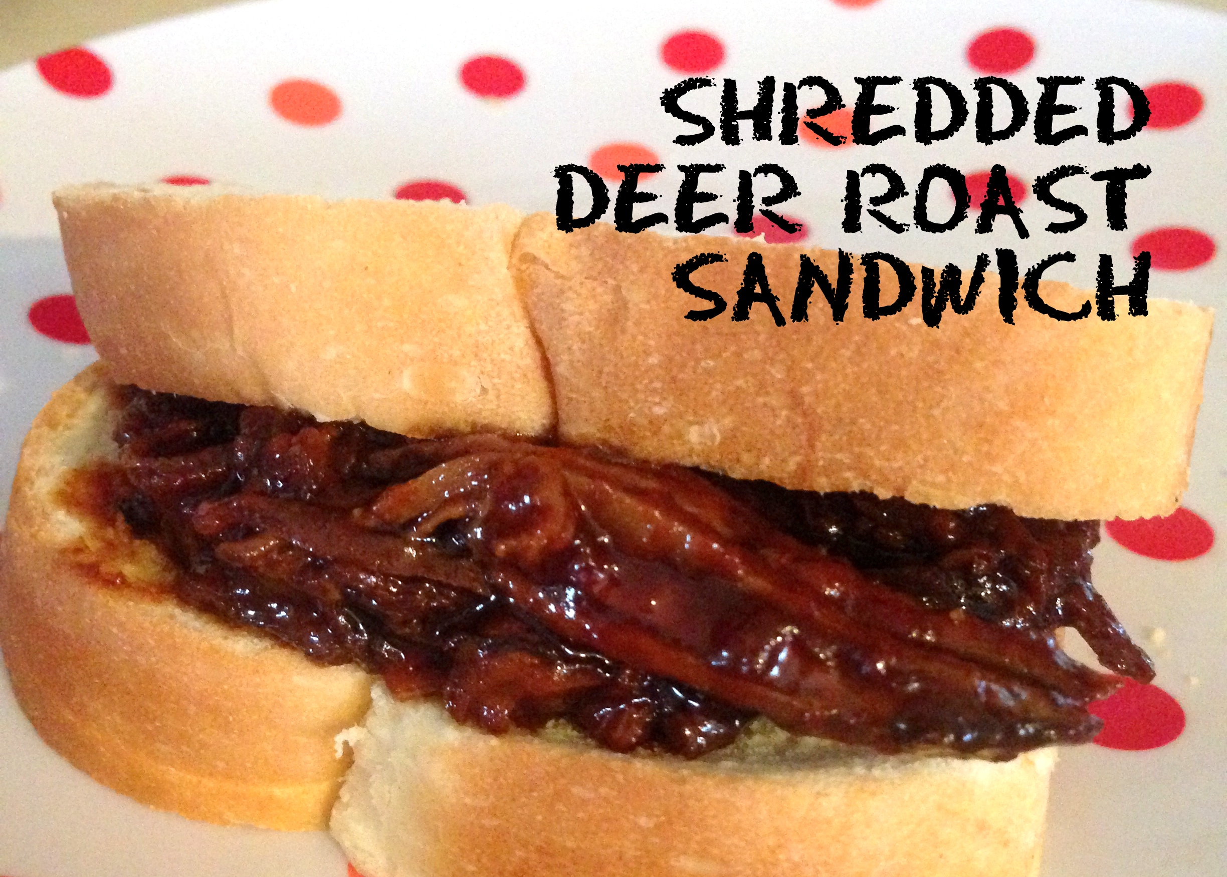 Shredded Deer Roast Sandwich — The Hunting Daddies