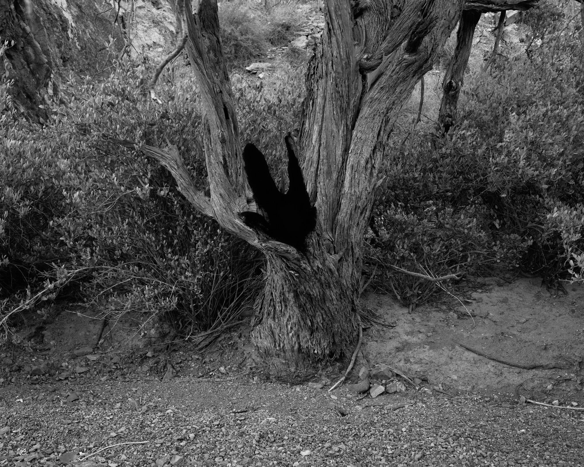 Matter — Michael Lundgren