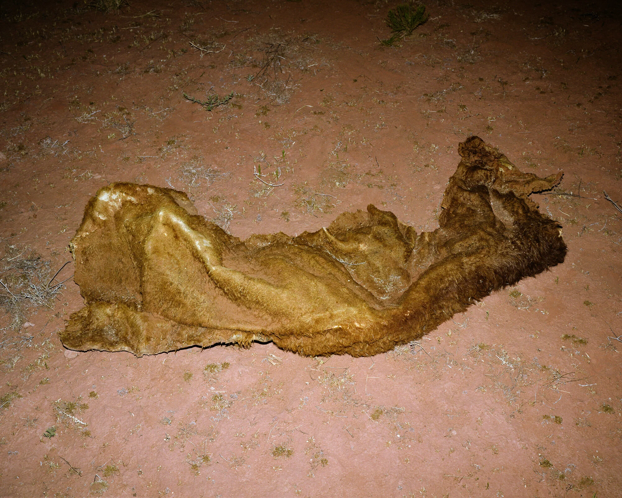 Matter — Michael Lundgren