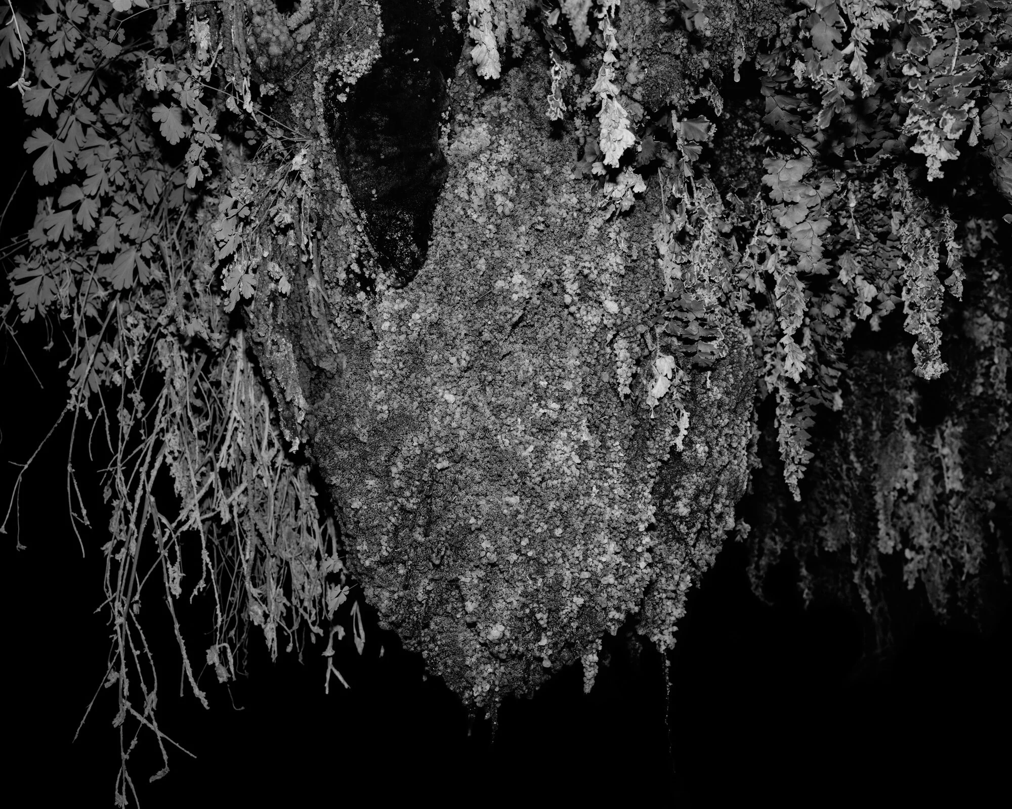 Matter — Michael Lundgren