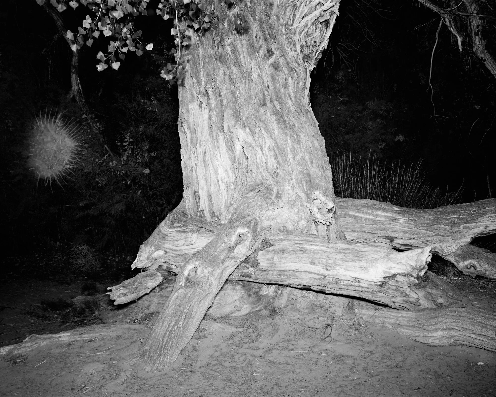 Matter — Michael Lundgren