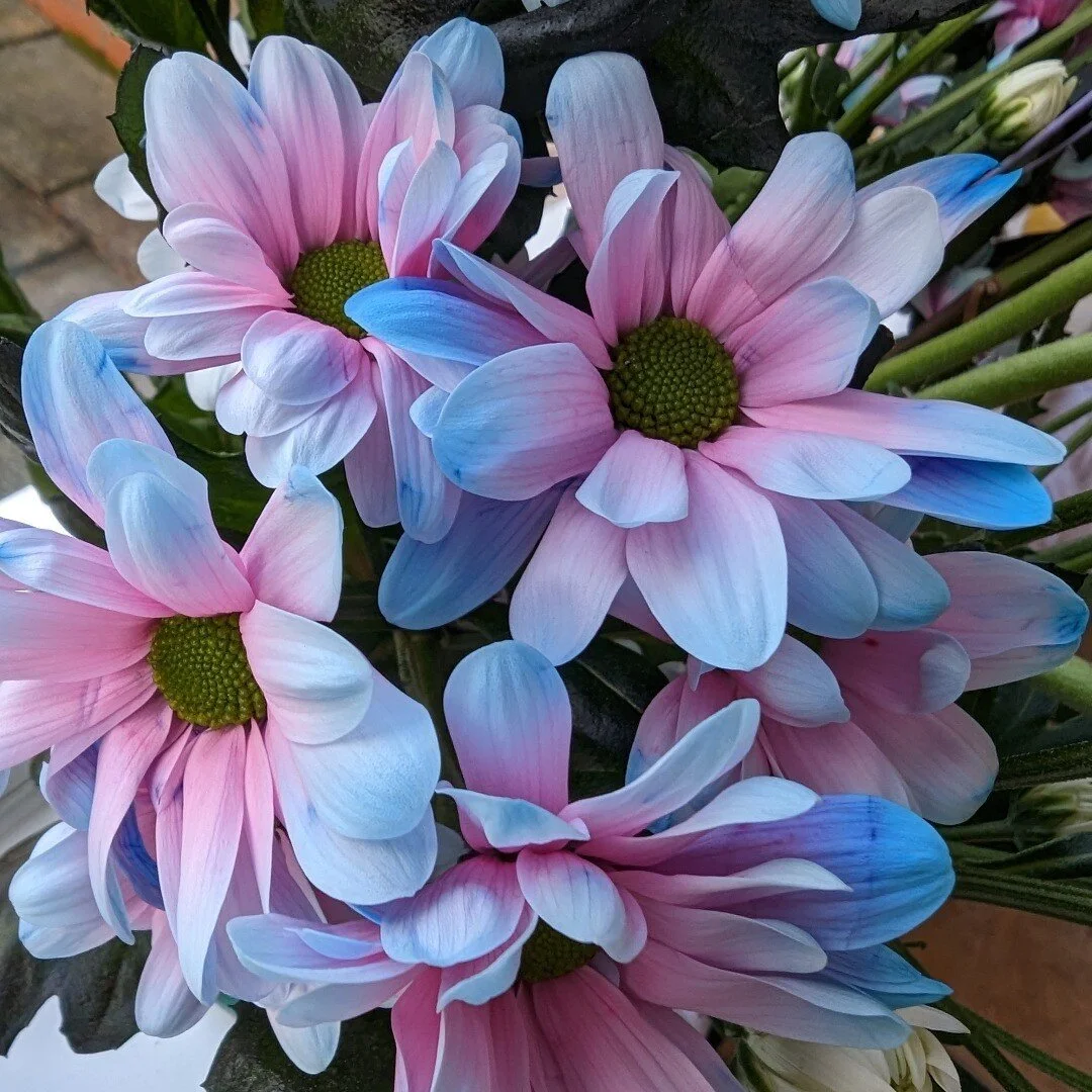 Who We Are - Kimbley IT