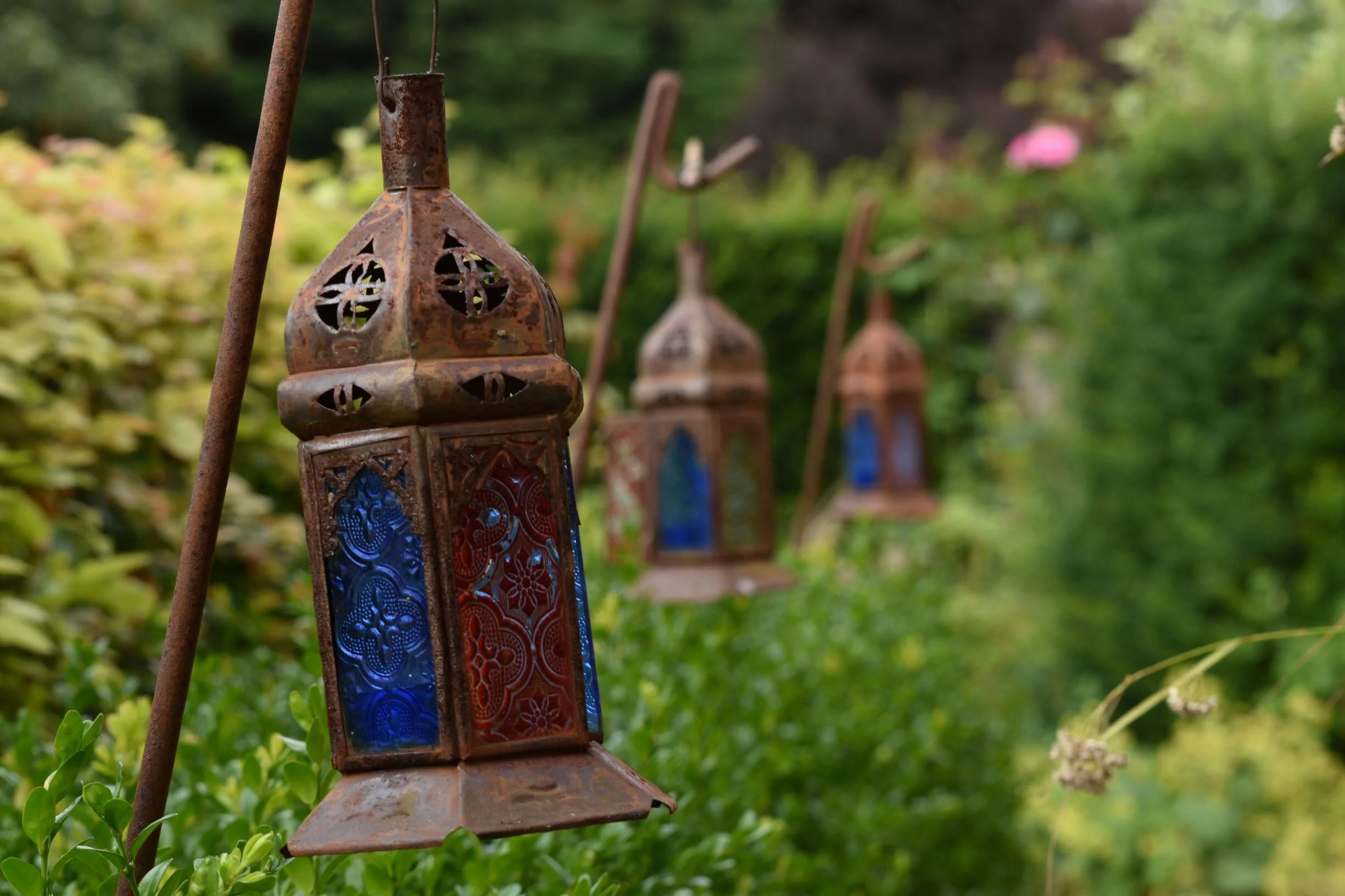 Workshops — Guy Petheram Garden Design