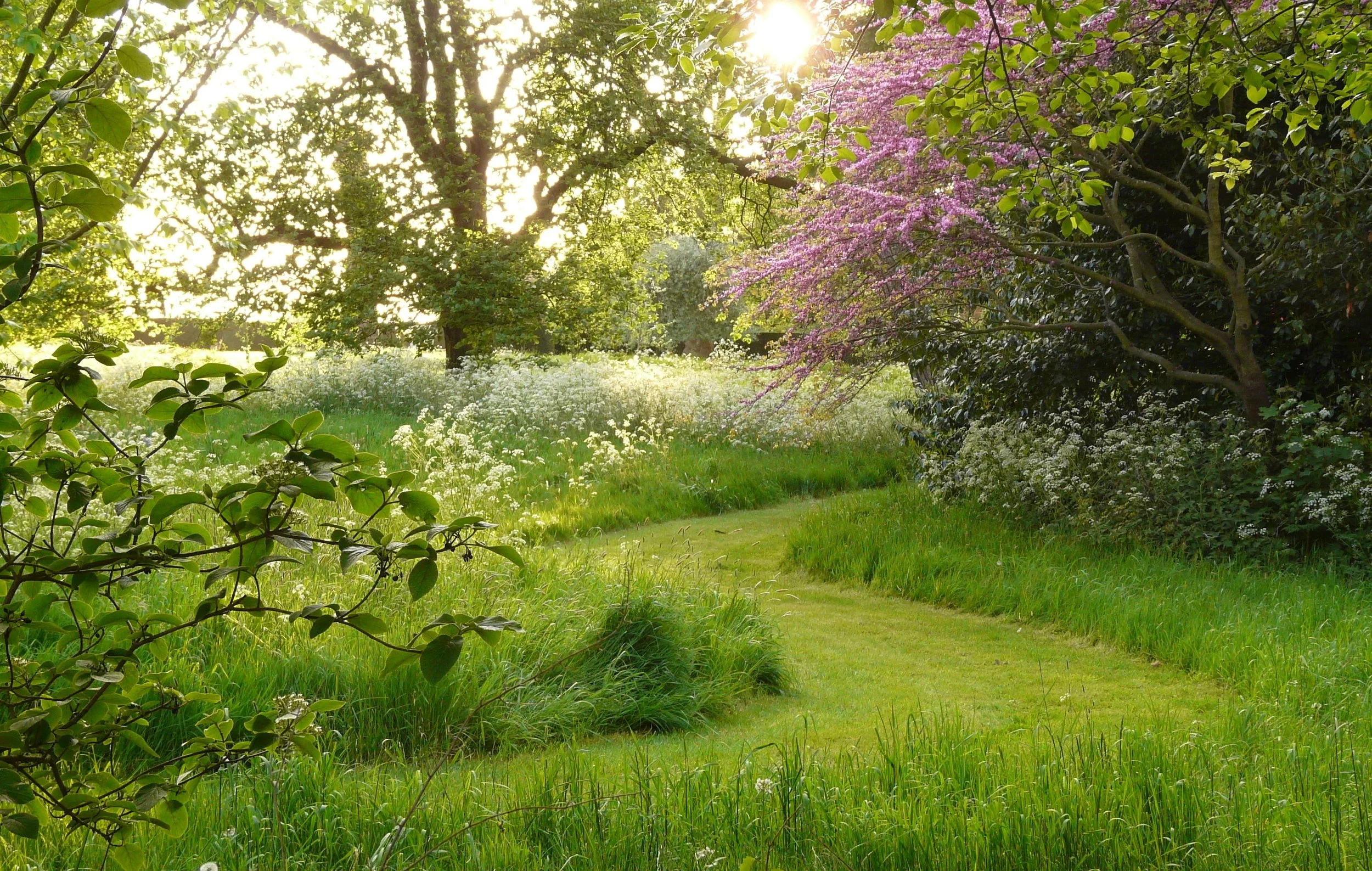 Courses at Doddington Hall — Guy Petheram Garden Design