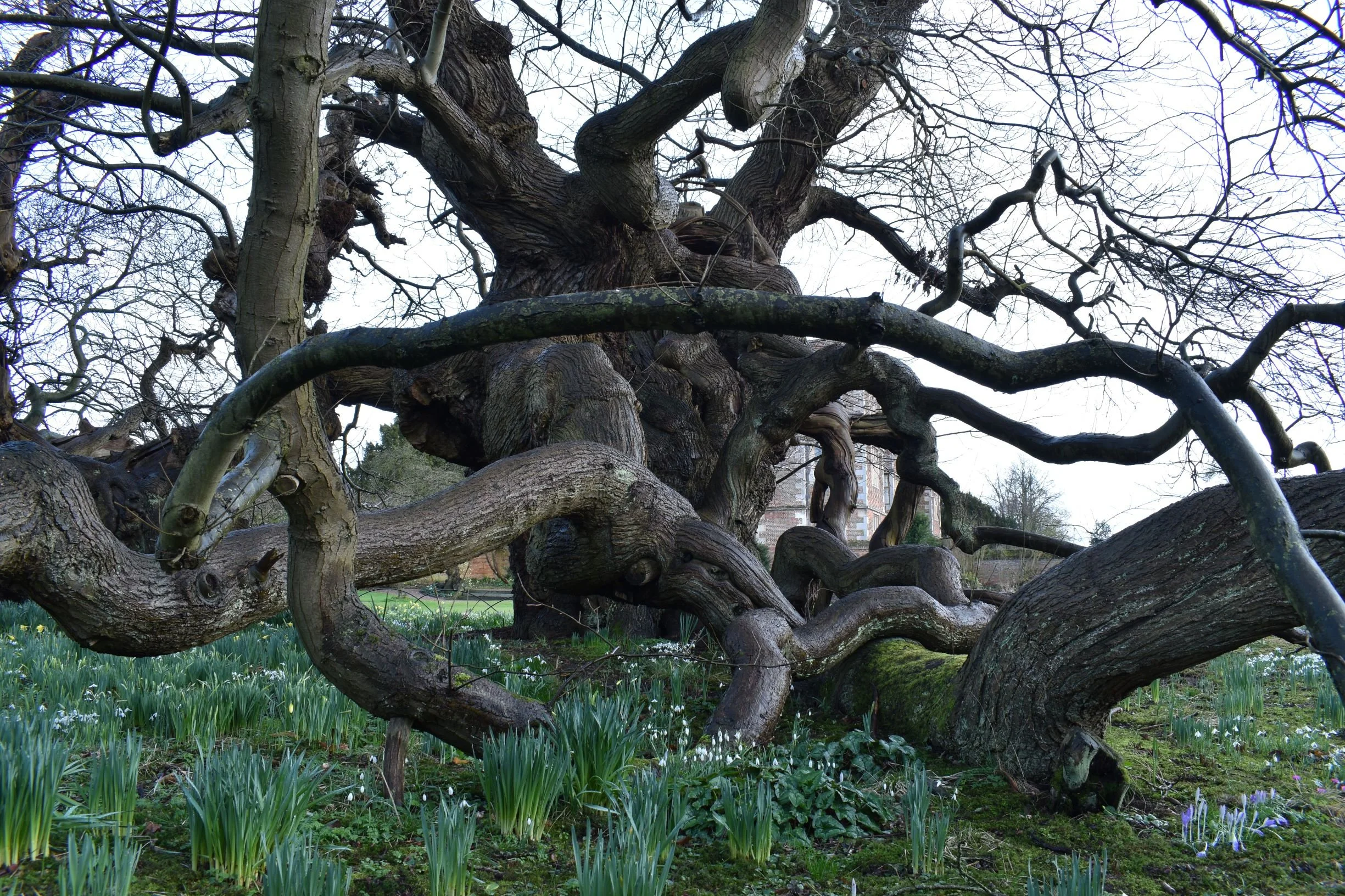 Workshops — Guy Petheram Garden Design