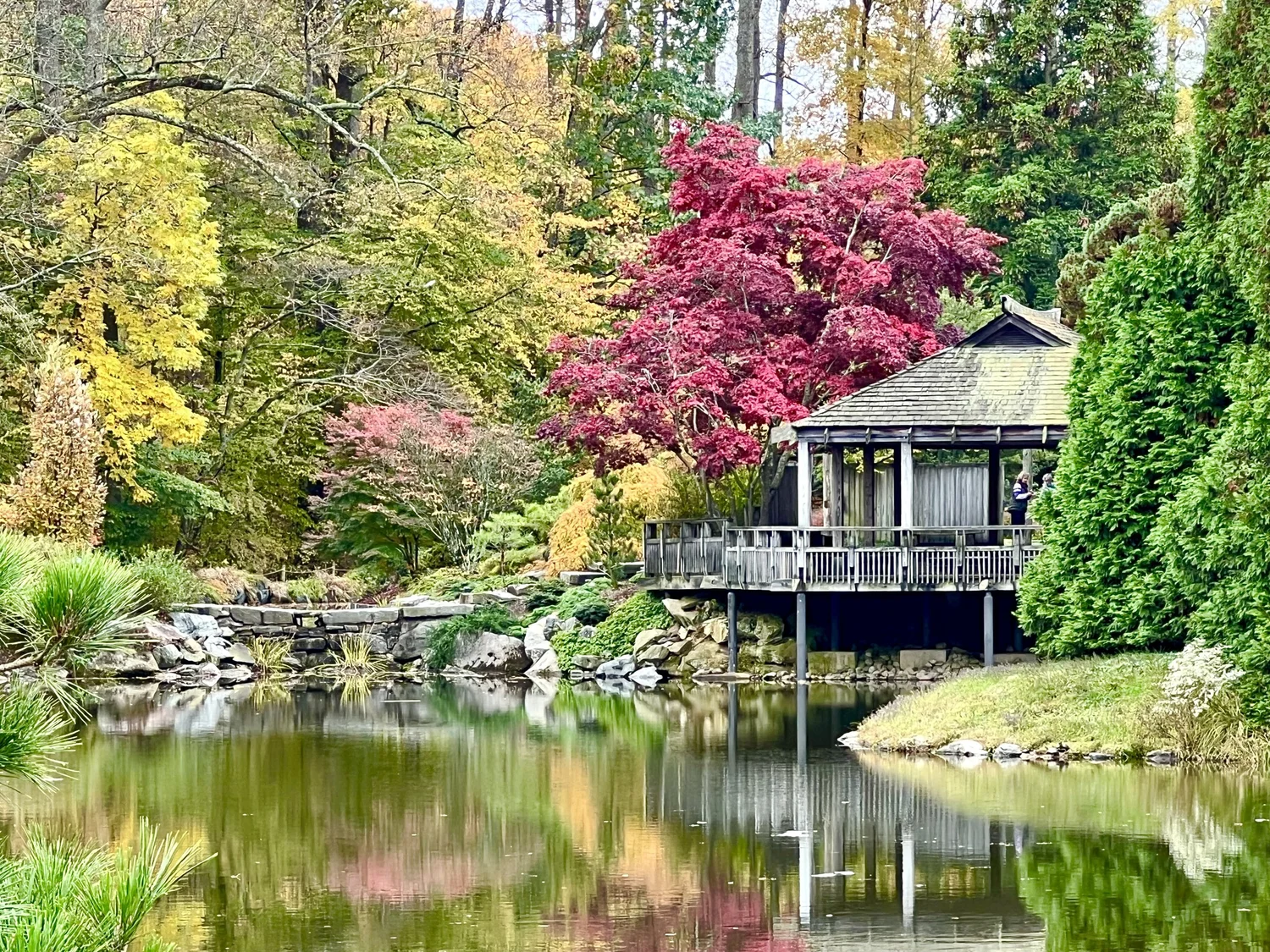 Friends of Brookside Gardens