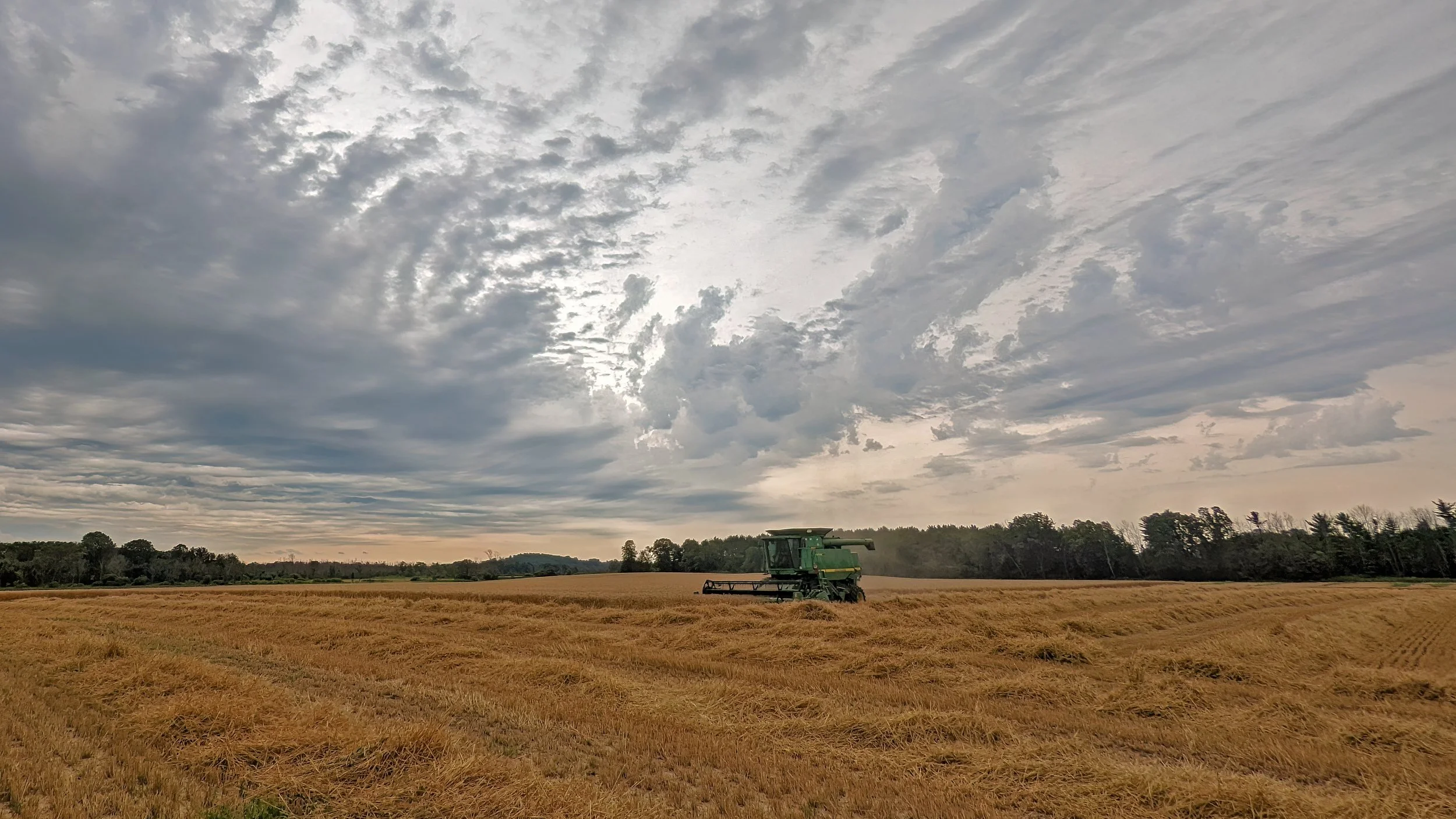 Wisconsin's #1 Winter Wheat — Partners In Production - PIP Seeds ...