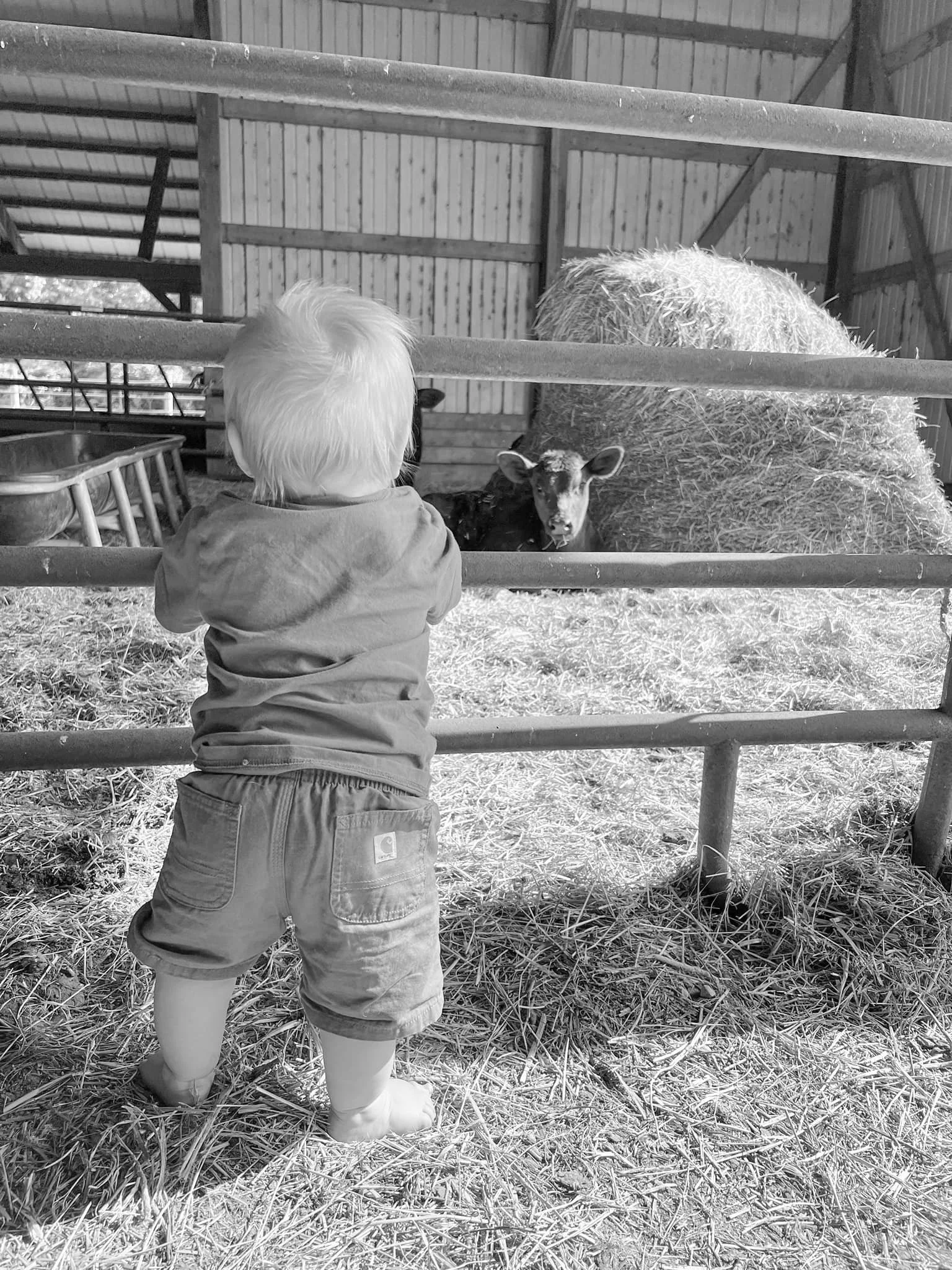 For the Kids — Partners In Production - PIP Seeds - Wisconsin Family ...