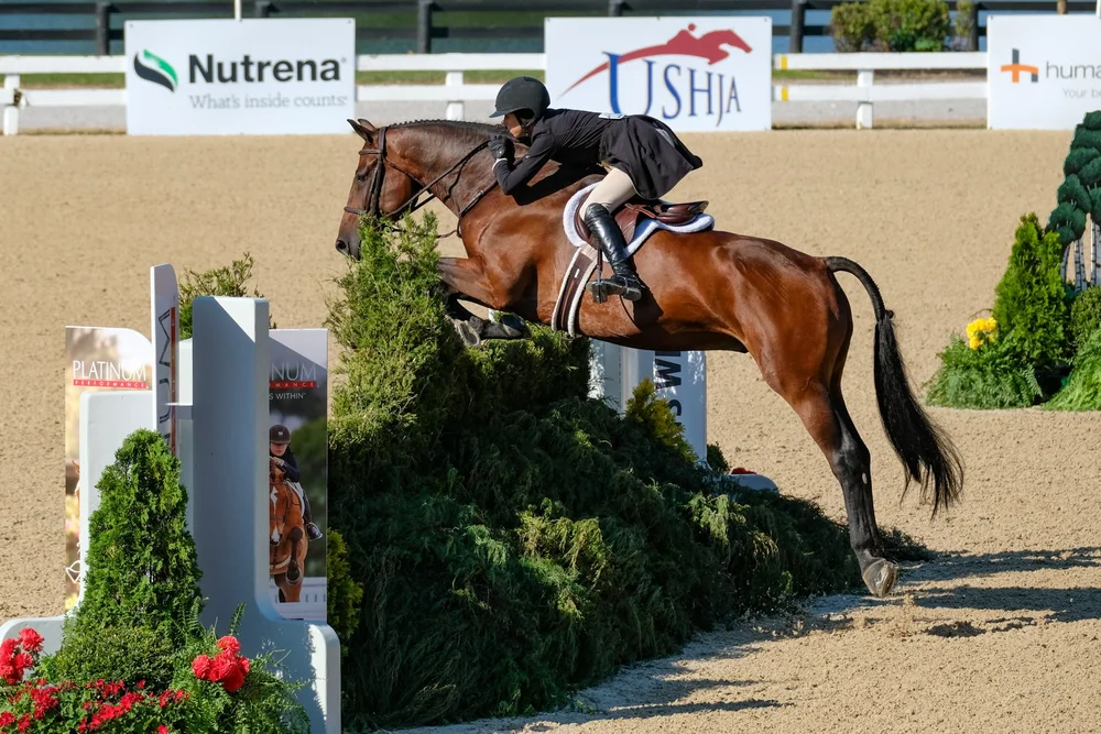 Famous Hunter Horses