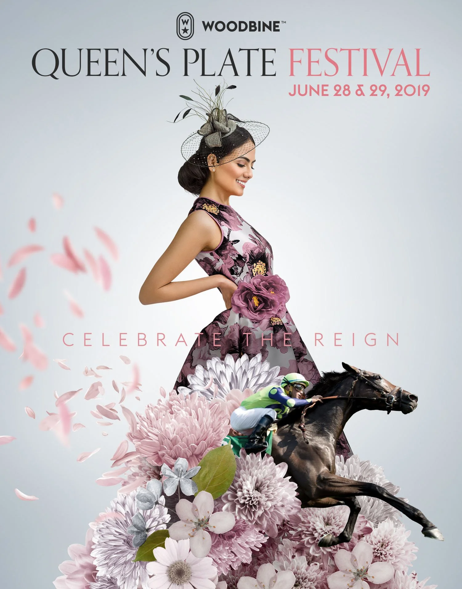 shayne gray media inc