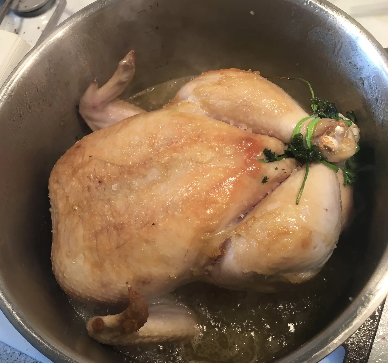 Pot-Roasted Chicken — Sweet • Sour • Savory