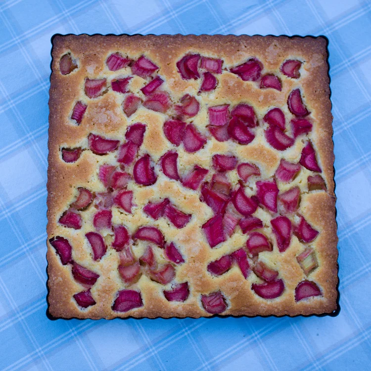 Rhubarb Mazarin Cake — Sweet • Sour • Savory