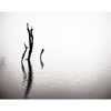 Landscapes — Beth Wold - Fine Art Photography