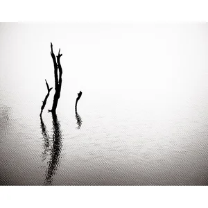 Landscapes — Beth Wold - Fine Art Photography