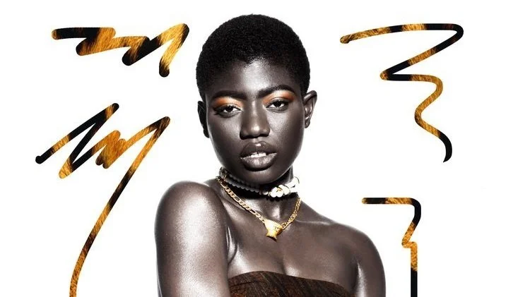 exhibits & screenings — in progress