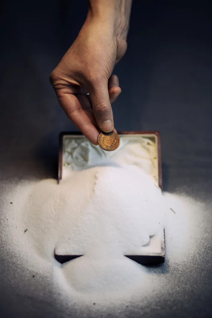 COMMON SALT — Sheila Ghelani