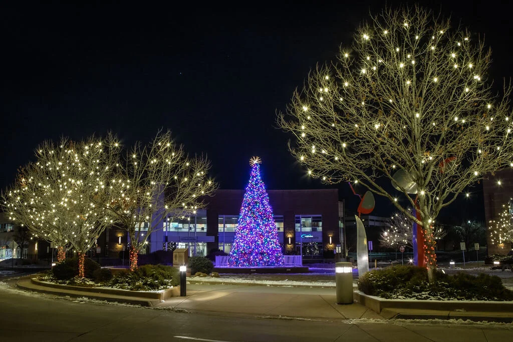 Christmas Light Installation in Denver | Colorado Christmas Lights