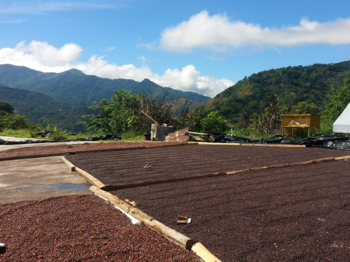 Strangers Coffee Roasters Norwich