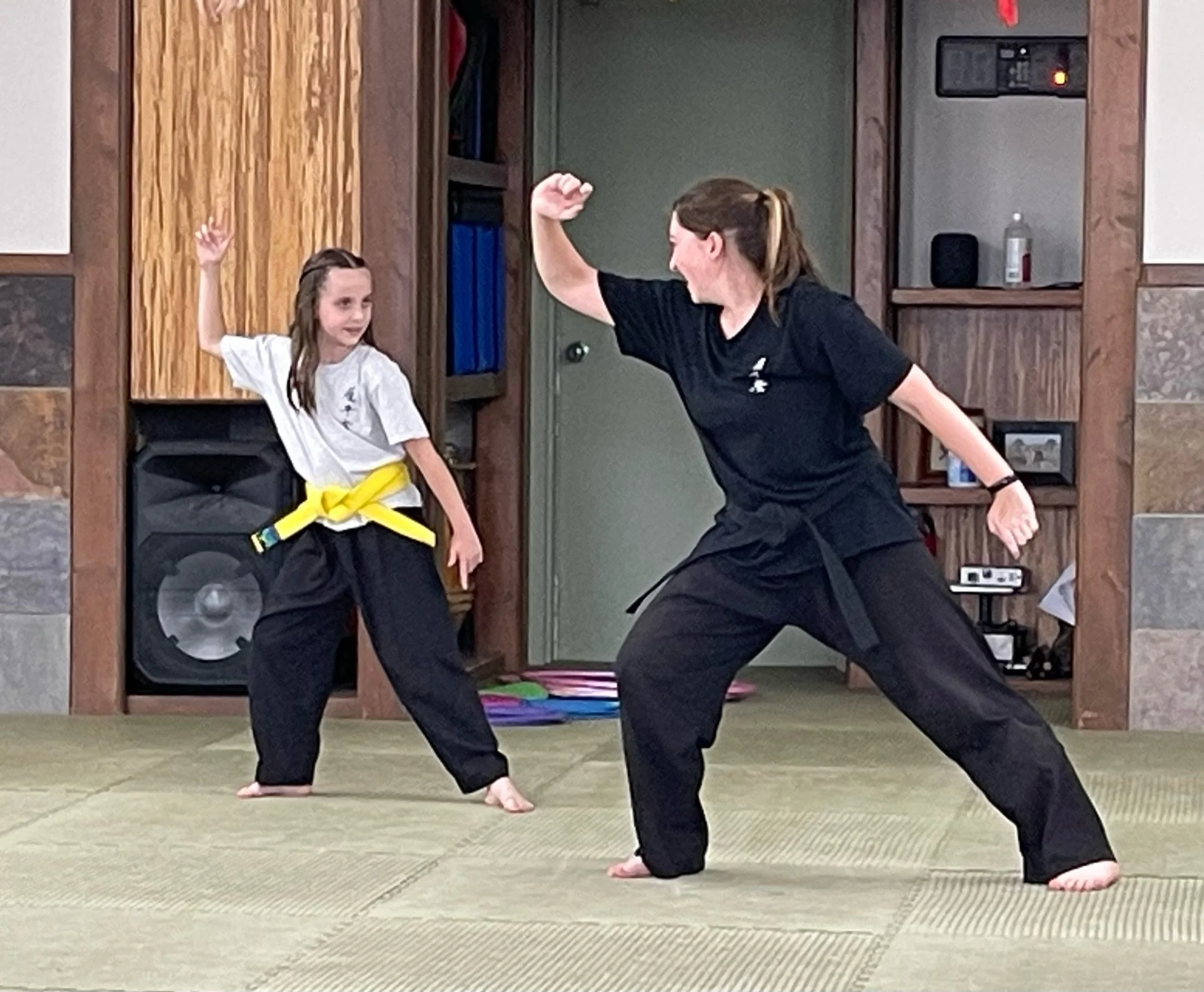 Stances Are Transitions! — Silent River Kung Fu