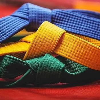 Ranks, Gradings and Progression — Silent River Kung Fu