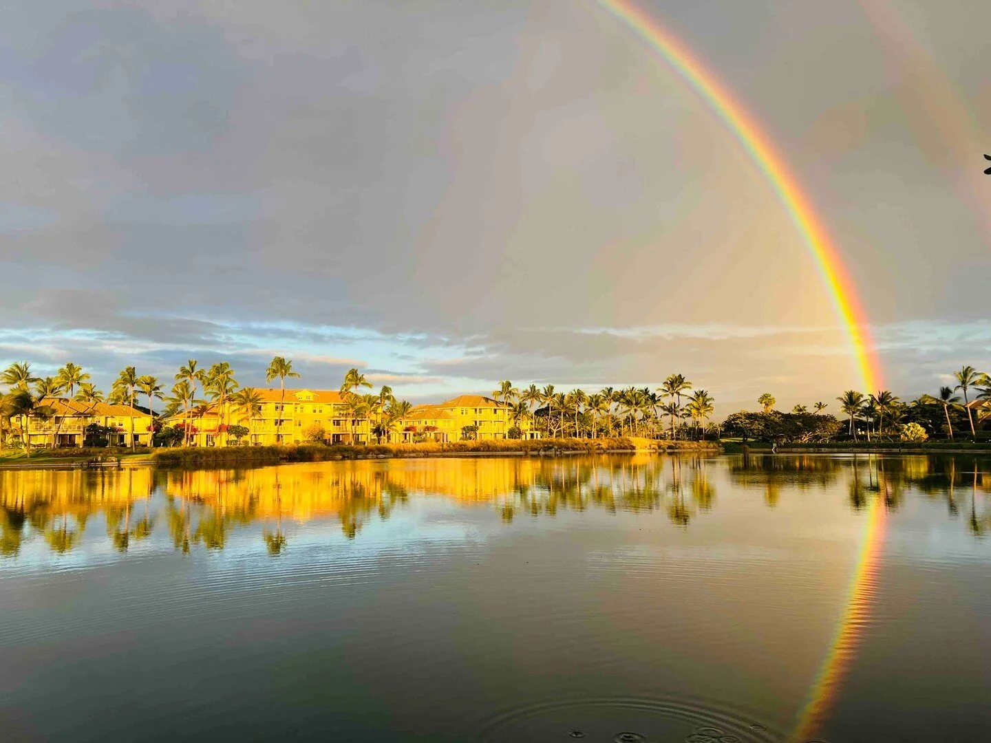 Aneta Key — Aedea Partners LLC — Strategy Consulting and Training with ...