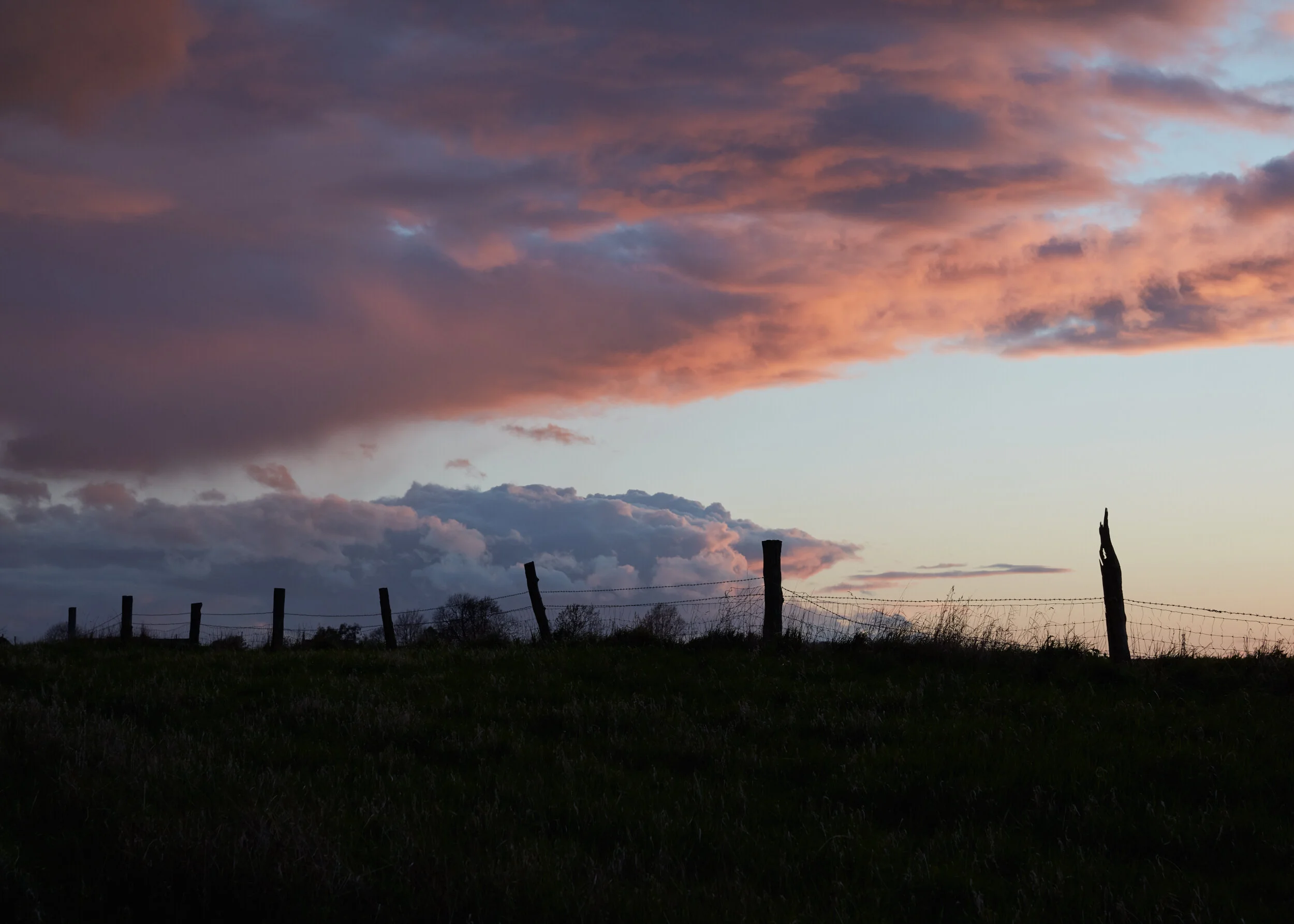 Tom Bunning | Photography | Overview/