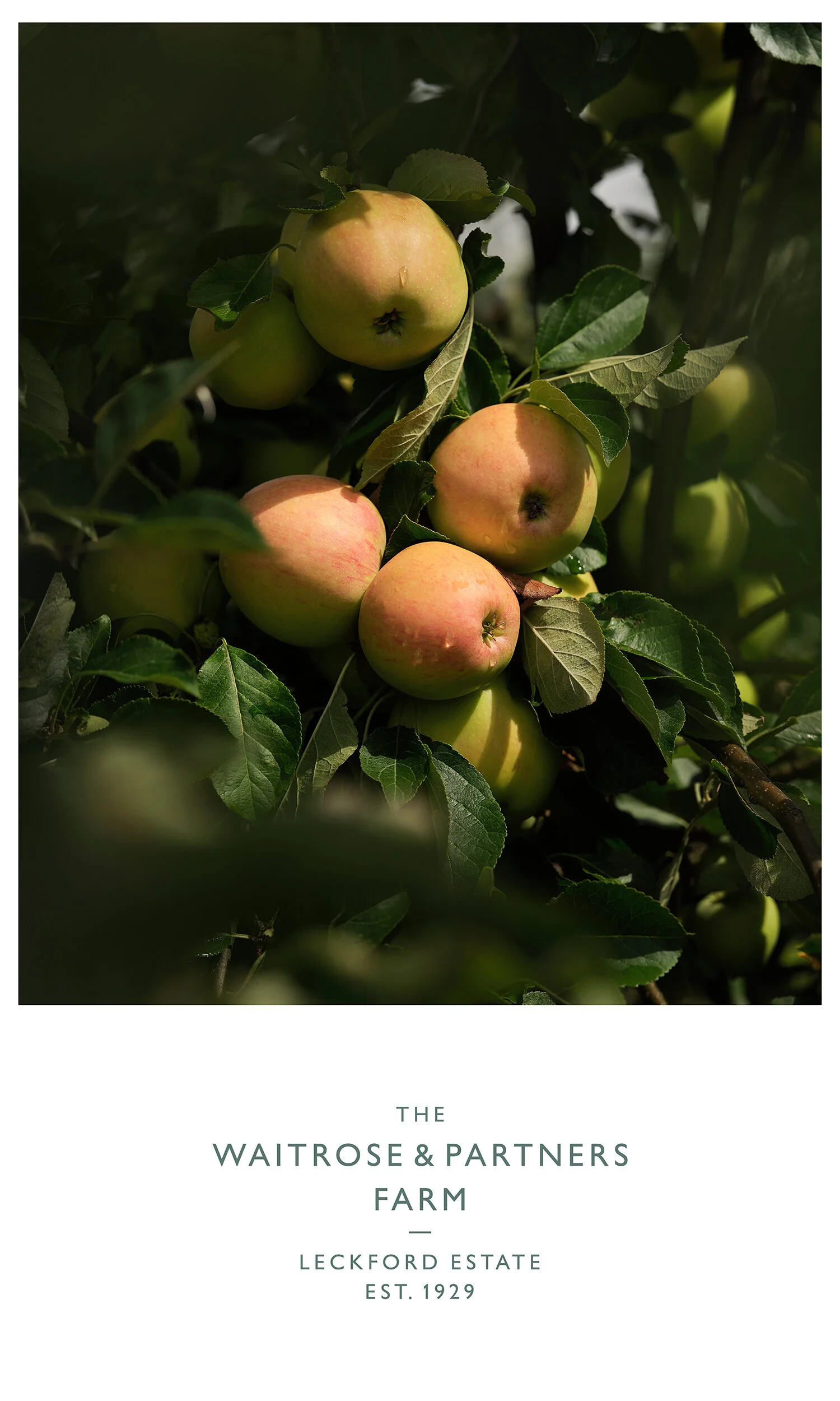 Tom Bunning | Photography | Overview/