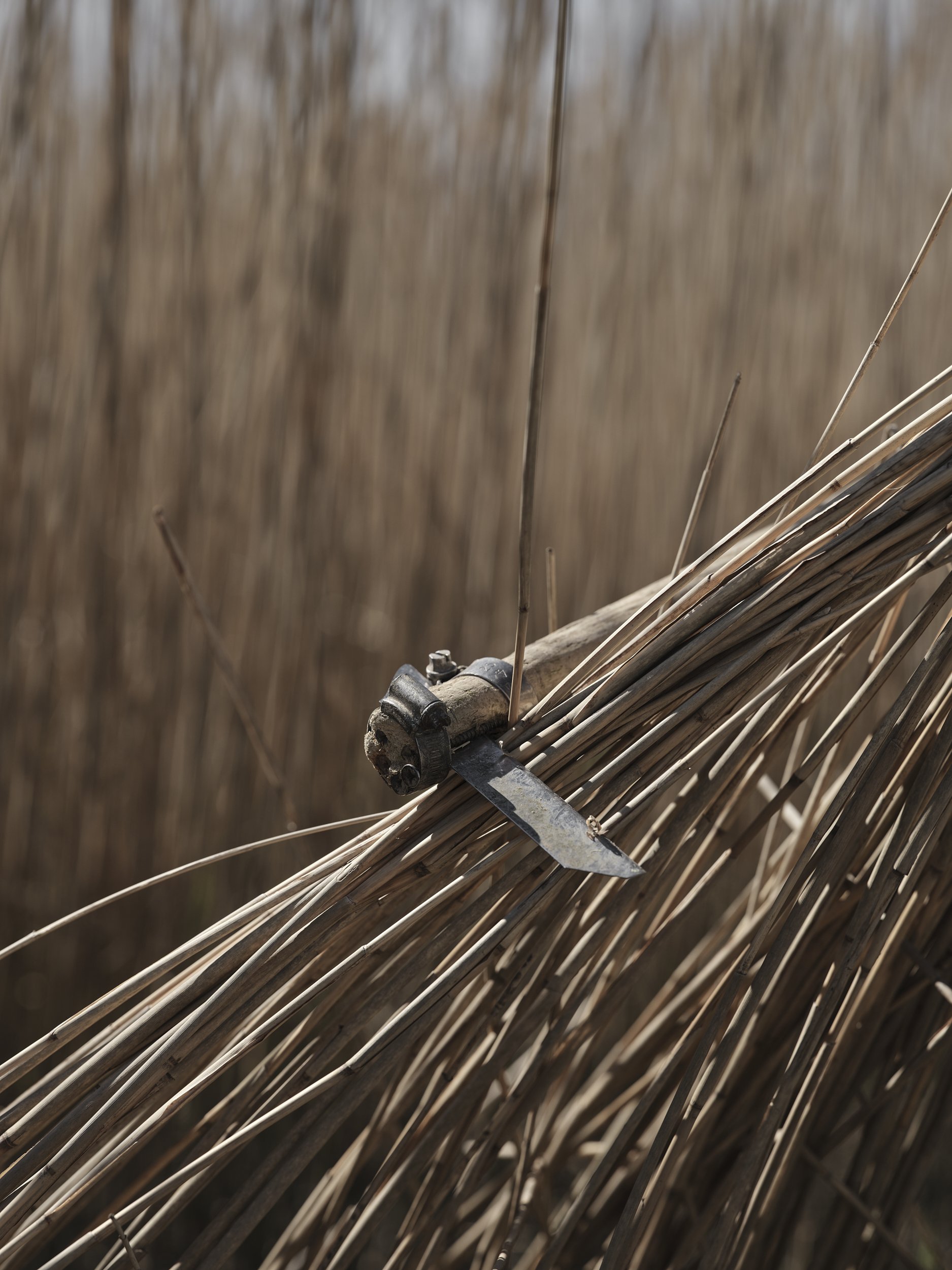 Tom Bunning | Photography | Makers