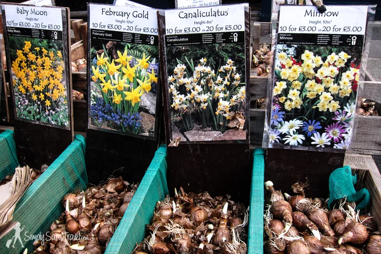 A Day in Shoreditch (London) — Simply Sara Travel