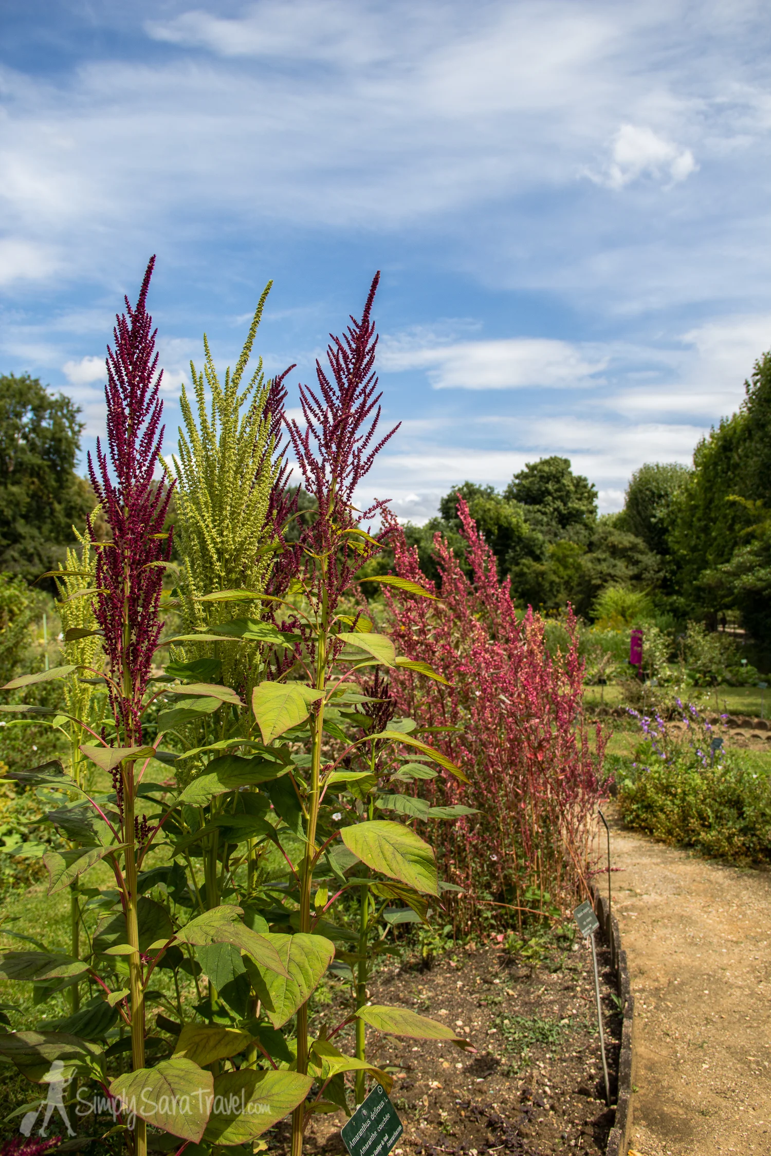 Park it in Paris: Jardin des Plantes — Simply Sara Travel